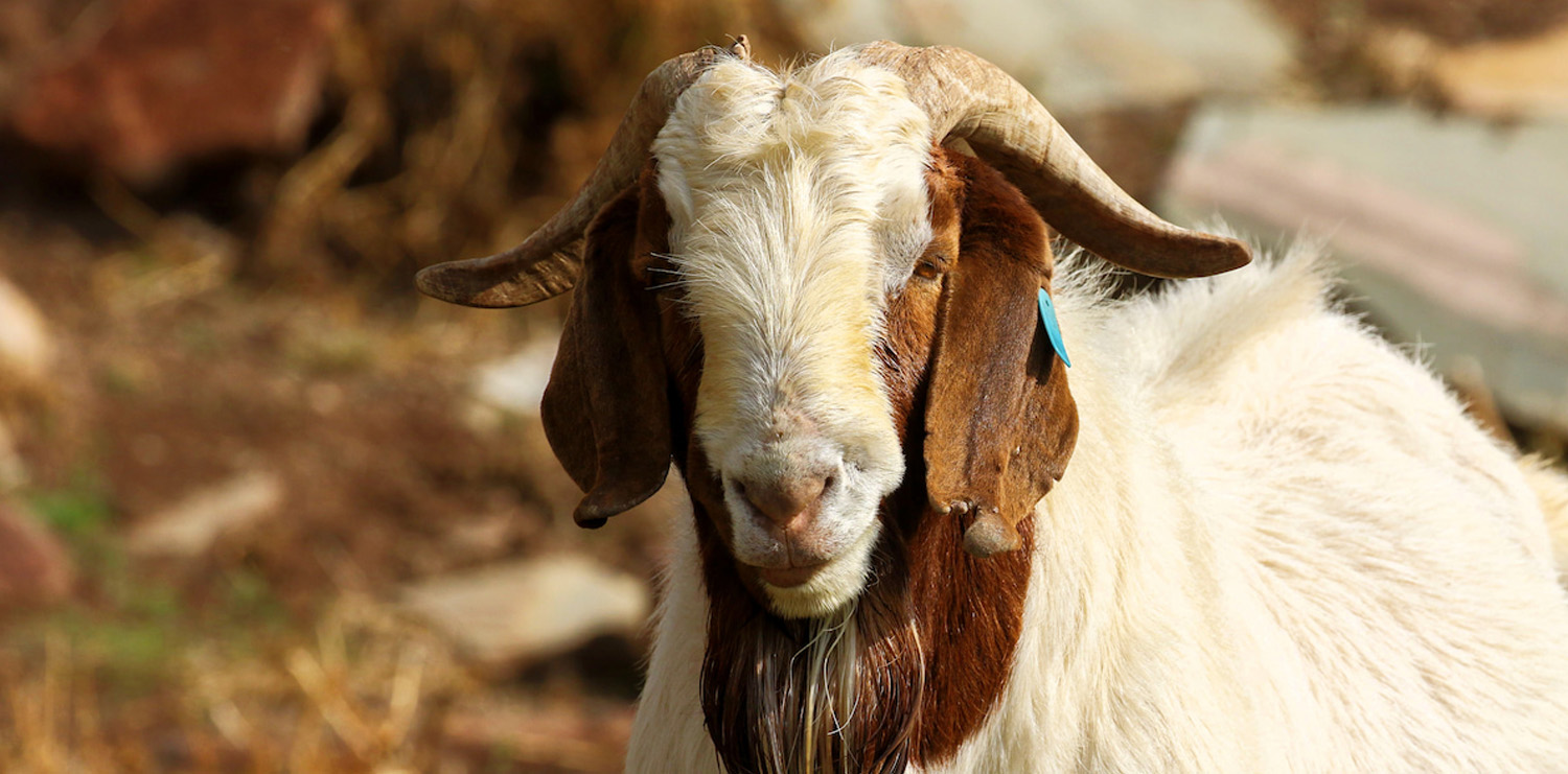 Jayabhushan Agro Industries Pvt.Ltd